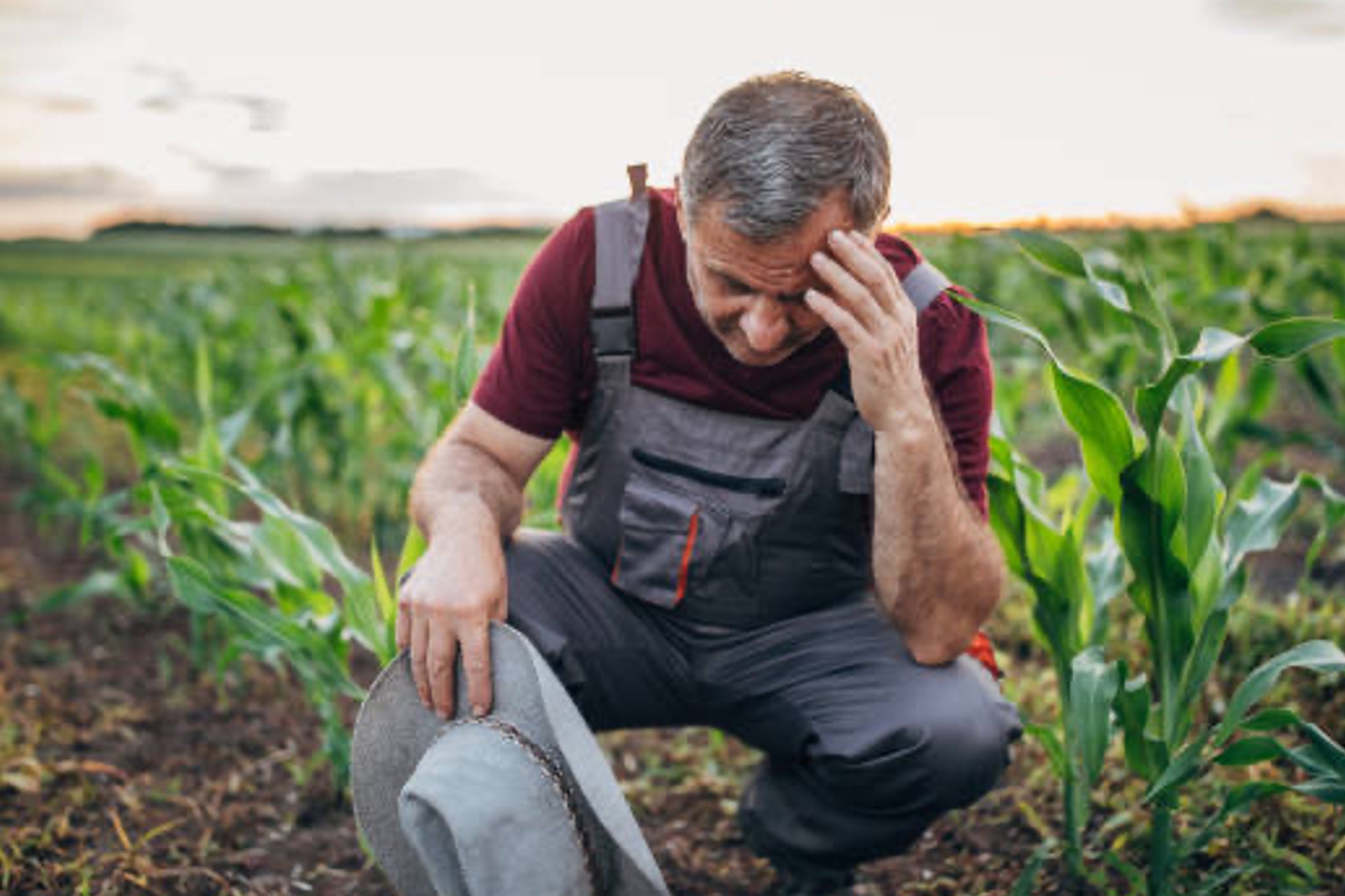 Article I – The Farm Problem: Exploring Oligopsony and Policy Solutions ...
