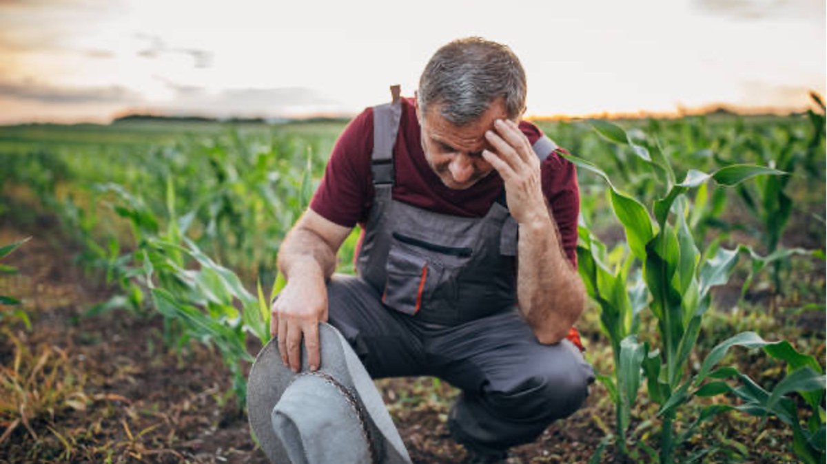 Article I – The Farm Problem: Exploring Oligopsony and Policy Solutions ...